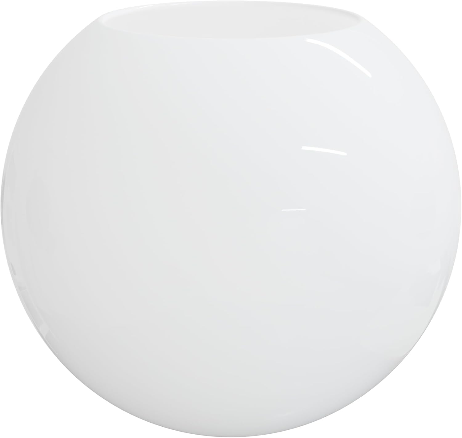 20" Custom Lamp Post Globe